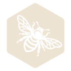 Our Services | Buzz Events